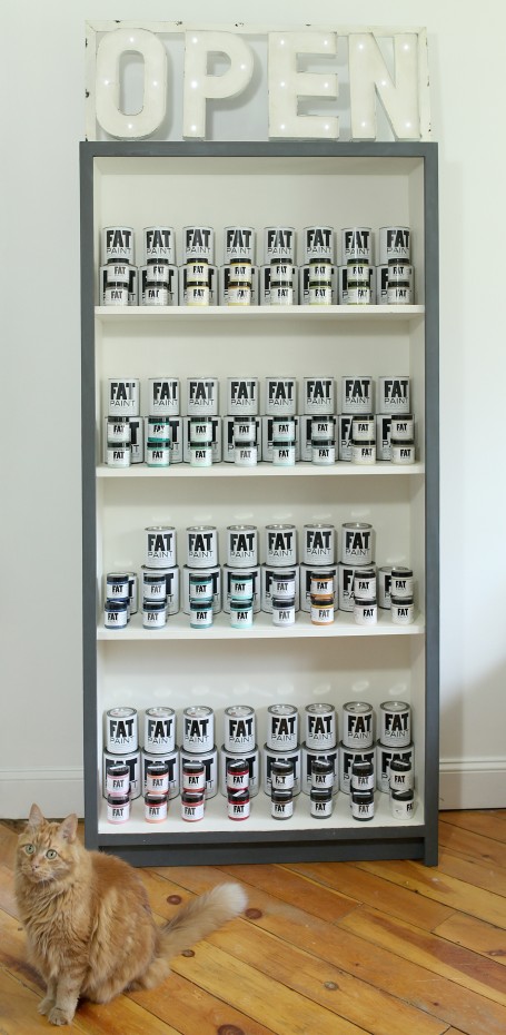 Meet A Retailer: Cindy at All About You Interiors - FAT Paint